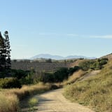 Peters Canyon Loop Trail, California - 4,807 Reviews, Map | AllTrails