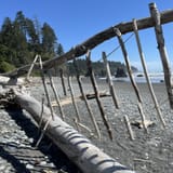 Ruby Beach, Washington - 1,637 Reviews, Map | AllTrails