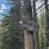 Moose Lake Loop, Alberta, Canada - 475 Reviews, Map | AllTrails