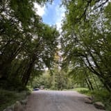 Red Town and Wildside Trails, Washington - 646 Reviews, Map | AllTrails