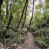 Red Town and Wildside Trails, Washington - 646 Reviews, Map | AllTrails