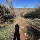 Wungong Gorge Walk, Western Australia, Australia - 686 Reviews, Map ...