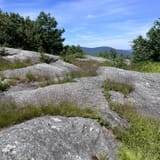Spruce Hill via Hoosac Range Trail, Massachusetts - 616 Reviews, Map ...