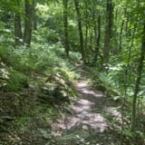Spruce Hill via Hoosac Range Trail, Massachusetts - 616 Reviews, Map ...