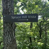Spruce Hill via Hoosac Range Trail, Massachusetts - 616 Reviews, Map ...