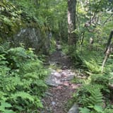 Spruce Hill via Hoosac Range Trail, Massachusetts - 559 Reviews, Map ...