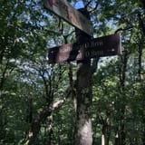Spruce Hill via Hoosac Range Trail, Massachusetts - 559 Reviews, Map ...