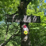 Spruce Hill via Hoosac Range Trail, Massachusetts - 559 Reviews, Map ...