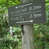 Spruce Hill via Hoosac Range Trail, Massachusetts - 559 Reviews, Map ...