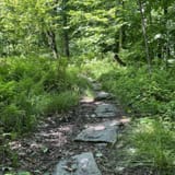 Spruce Hill via Hoosac Range Trail, Massachusetts - 559 Reviews, Map ...