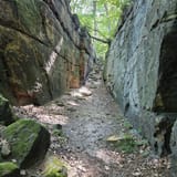 Cuyahoga River Gorge Trail , Ohio - 1,765 Reviews, Map | AllTrails