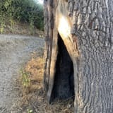 Calabasas Hidden Stairs, California - 778 Reviews, Map | AllTrails