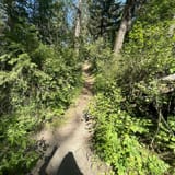Trail 121: Waterfall Loop, Washington - 975 Reviews, Map | AllTrails