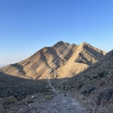 Frenchman Mountain Trail, Nevada - 1,376 Reviews, Map | AllTrails