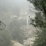 Cold Spring Loop, California - 2,324 Reviews, Map | AllTrails