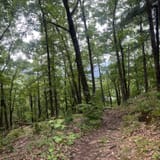 Western Ridge Trail to Overlook, New York - 856 Reviews, Map | AllTrails