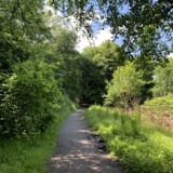 Pennington Flash, Greater Manchester, England - 555 Reviews, Map ...