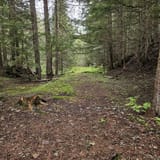 Loop Brook Trail, British Columbia, Canada - 251 Reviews, Map | AllTrails