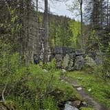 Loop Brook Trail, British Columbia, Canada - 251 Reviews, Map | AllTrails