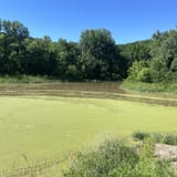 Horseshoe Bluff Nature Trail, Iowa - 740 Reviews, Map | AllTrails