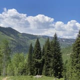 Booth Falls, Colorado - 5,313 Reviews, Map | AllTrails