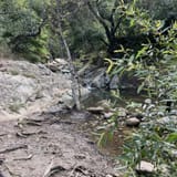 Inspiration Point, California - 3,743 Reviews, Map | AllTrails