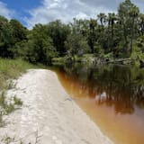 Econlockhatchee River Trail, Florida - 449 Reviews, Map | AllTrails