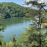 Raven Rock Loop Trail, South Carolina - 2,430 Reviews, Map | AllTrails