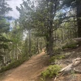 Raspberry Mountain Trail via Ring the Peak Trail, Colorado - 1,892 ...
