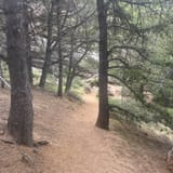 Raspberry Mountain Trail via Ring the Peak Trail, Colorado - 1,892 ...