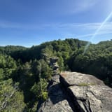 Window Cliffs Trail, Tennessee - 1,490 Reviews, Map | AllTrails