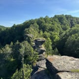 Window Cliffs Trail, Tennessee - 1,490 Reviews, Map | AllTrails