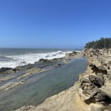 Cape Arago Loop Trail, Oregon - 382 Reviews, Map | AllTrails