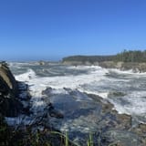 Cape Arago Loop Trail, Oregon - 325 Reviews, Map | AllTrails