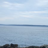 Compass Harbor Trail, Maine - 702 Reviews, Map | AllTrails