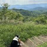 Max Patch Loop, North Carolina - 2,308 Reviews, Map | AllTrails
