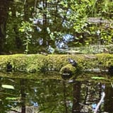 Rock Dunder, Ontario, Canada - 1,202 Reviews, Map | AllTrails