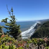 Cape Sebastian Trail, Oregon - 843 Reviews, Map | AllTrails