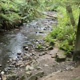 Short Sand Beach Trail, Oregon - 757 Reviews, Map | AllTrails