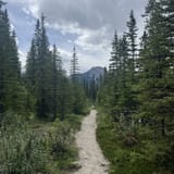 Widow Maker Trail, Alberta, Canada - 589 Reviews, Map | AllTrails