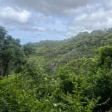 Makiki Valley Loop, Oahu, Hawaii - 5,902 Reviews, Map | AllTrails