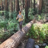 Ritchey Canyon Trail and Coyote Peak, California - 1,081 Reviews, Map ...