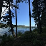 Suttle Lake Loop, Oregon - 857 Reviews, Map | AllTrails