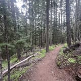 Chilco Mountain Trail, Idaho - 681 Reviews, Map | AllTrails