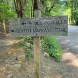 Fall Branch Falls Trail, Georgia - 1,310 Reviews, Map | AllTrails