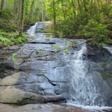 Fall Branch Falls Trail, Georgia - 1,310 Reviews, Map | AllTrails