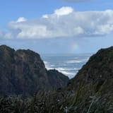 Mercer Bay Loop Track, Auckland, New Zealand - 634 Reviews, Map | AllTrails