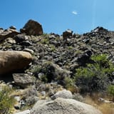 Grapevine Canyon Trail, Nevada - 542 Reviews, Map | AllTrails