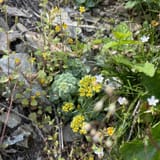 Natural Rock Arch Trail, Oregon - 219 Reviews, Map | AllTrails