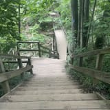 River and Matildaville Trail, Virginia - 1,013 Reviews, Map | AllTrails